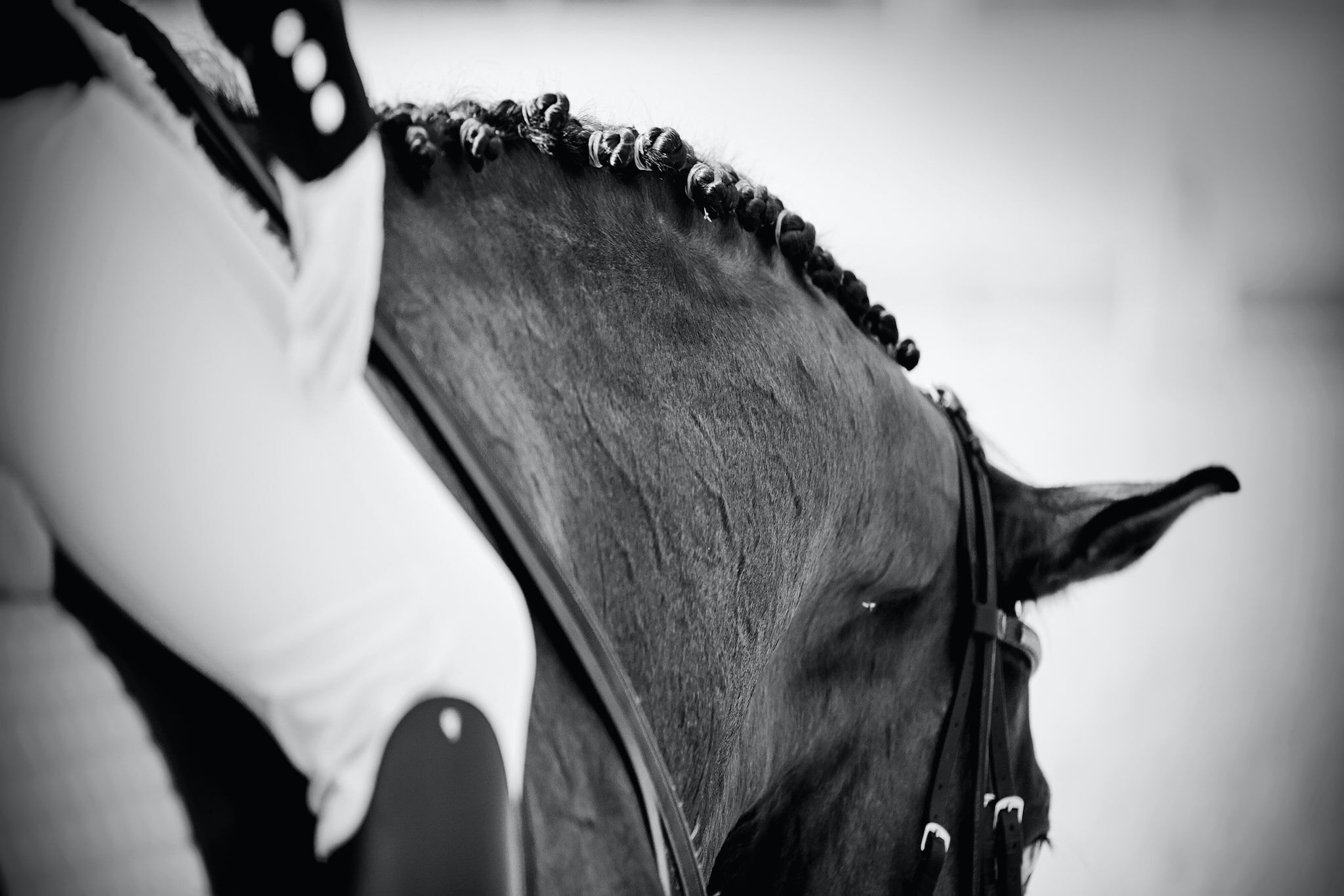 A lesson in simplicity - Lessons with Brett Parbey - Horse Rookie