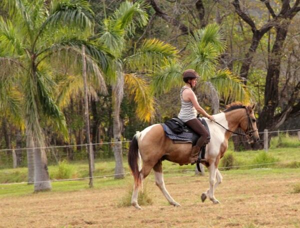 Happy Trails Gear Guide: What to Wear Horseback Trail Riding - Horse Rookie