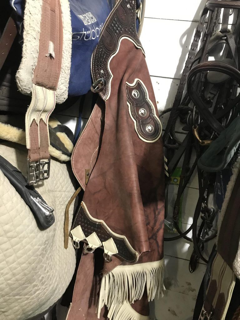 Happy Trails Gear Guide: What to Wear Horseback Trail Riding - Horse Rookie