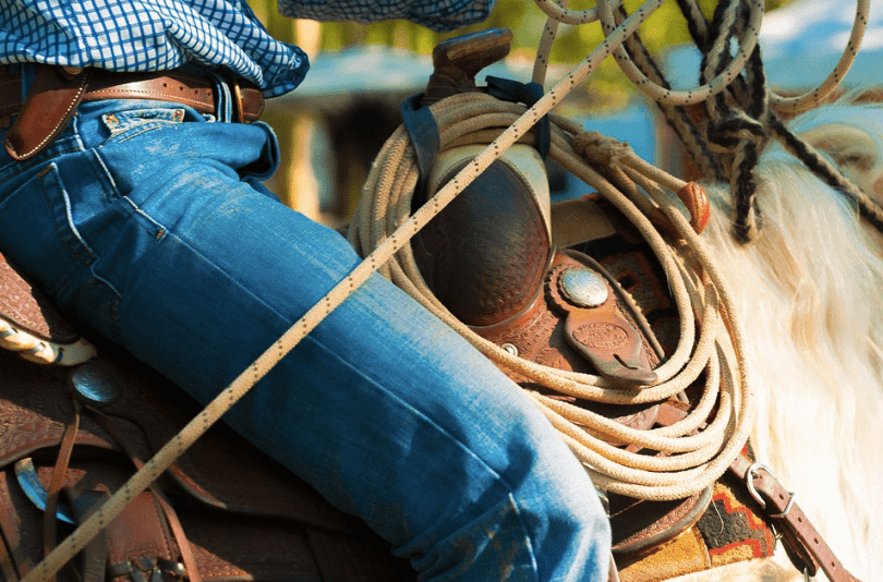 Rodeo Ready or Rodeo Rookie? Depends what you’re wearing - Horse Rookie