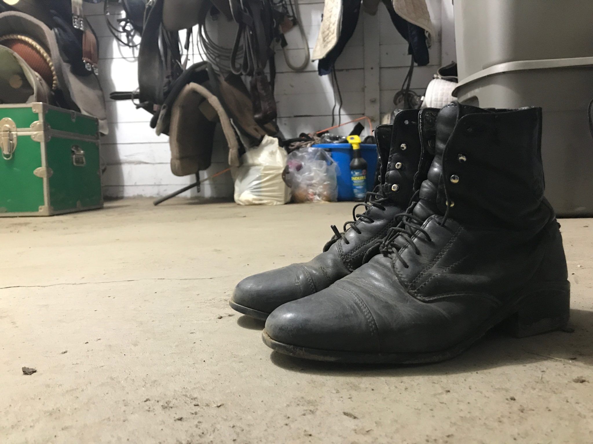 Horse Riding Gear for Beginners (Quick-Print Equipment List) - Horse Rookie