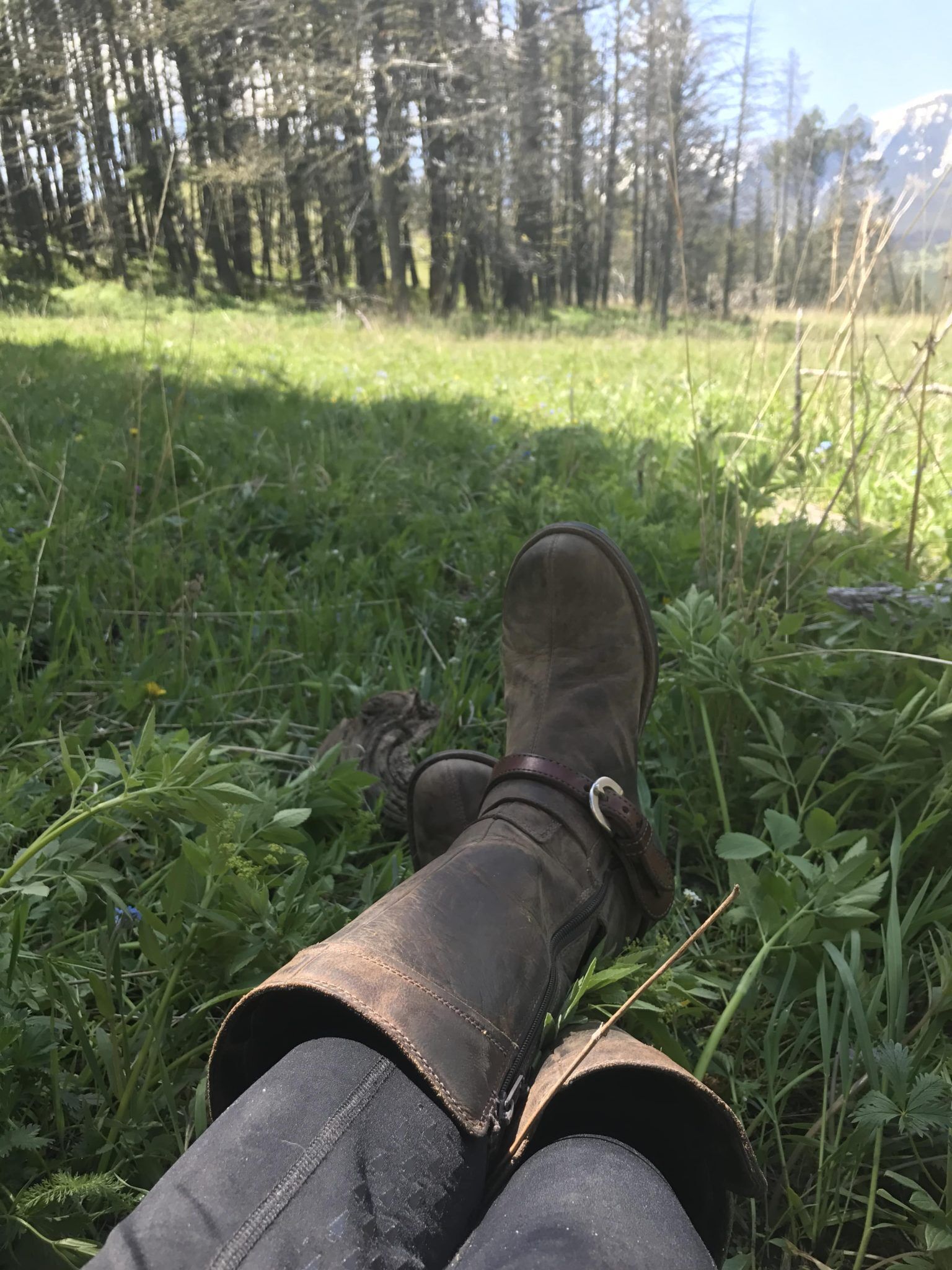 Happy Trails Gear Guide: What to Wear Horseback Trail Riding - Horse Rookie