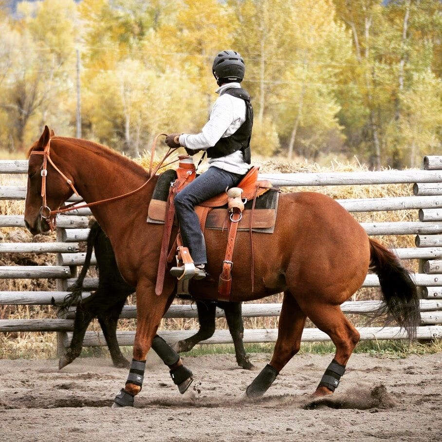 Equestrian Hit Air Vest Review: My Favorite Fall in 30 Yrs