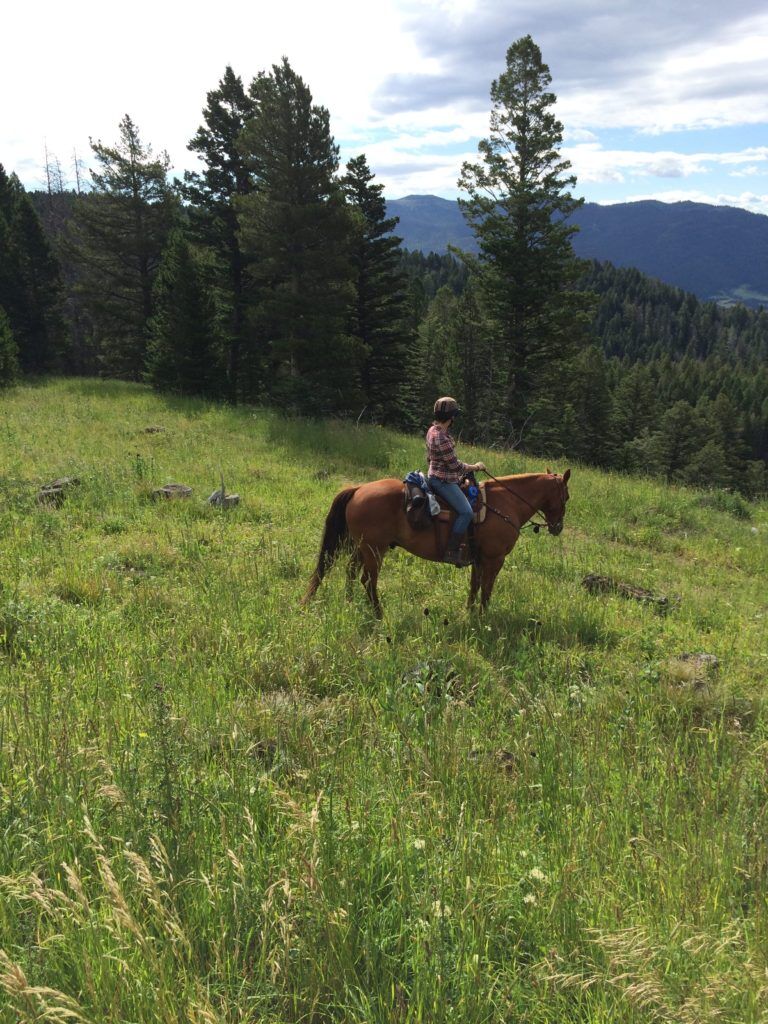 Happy Trails Gear Guide: What to Wear Horseback Trail Riding - Horse Rookie