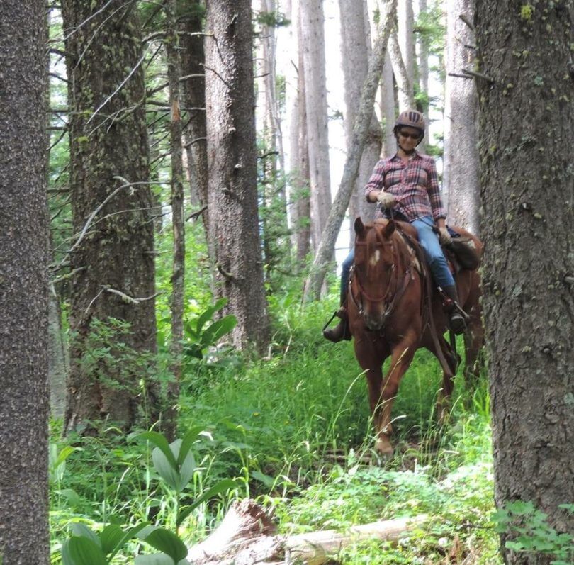 Happy Trails Gear Guide: What to Wear Horseback Trail Riding - Horse Rookie
