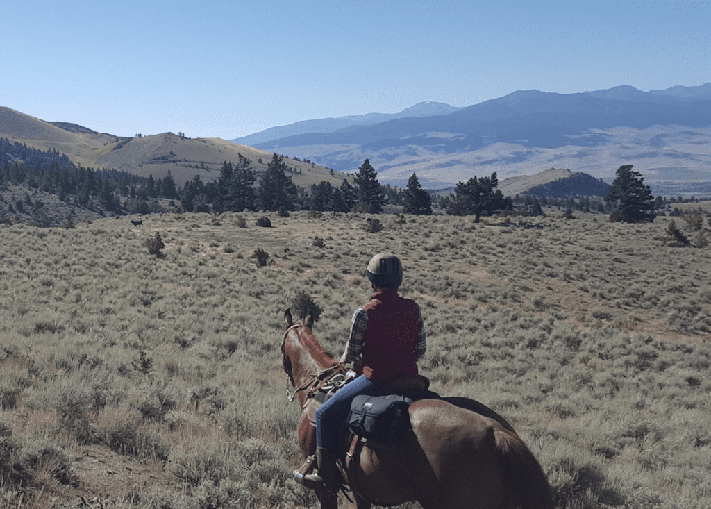Happy Trails Gear Guide: What to Wear Horseback Trail Riding - Horse Rookie