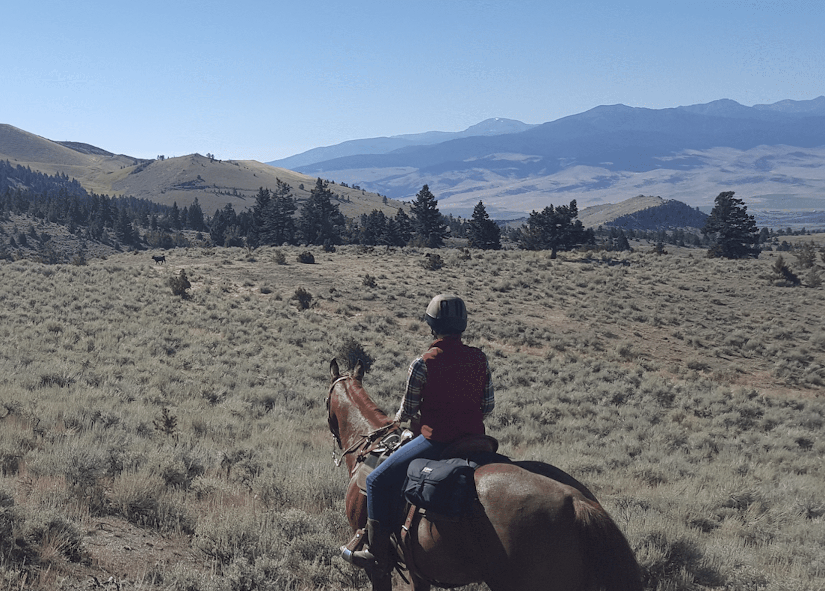 Happy Trails Gear Guide: What to Wear Horseback Trail Riding - Horse Rookie