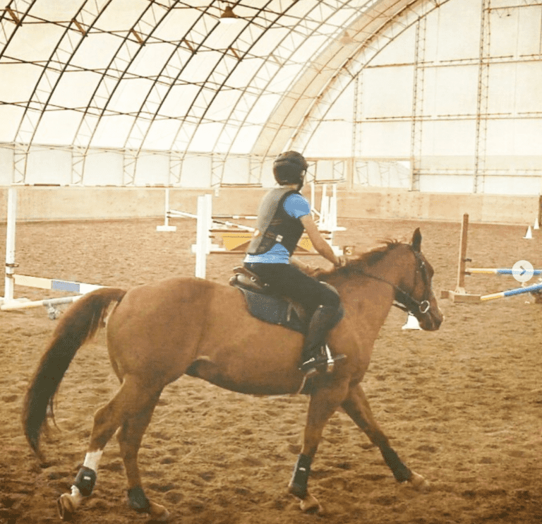 Equestrian Hit Air Vest Review: My Favorite Fall in 30 Yrs