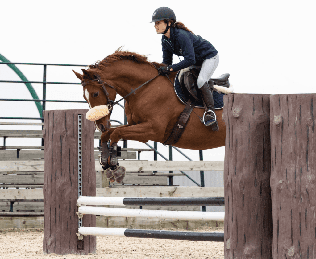 Horse Show Jumping: A Complete Beginners Guide - Horse Rookie