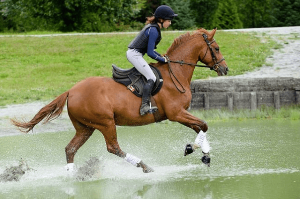 11 Best Stirrups for Jumping Clear (and Staying Safe) - Horse Rookie
