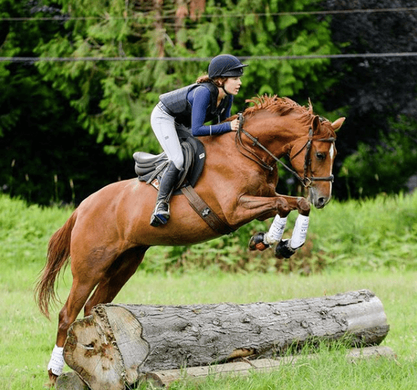 11 Best Stirrups for Jumping Clear (and Staying Safe) - Horse Rookie