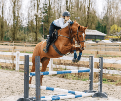 11 Best Stirrups for Jumping Clear (and Staying Safe) - Horse Rookie