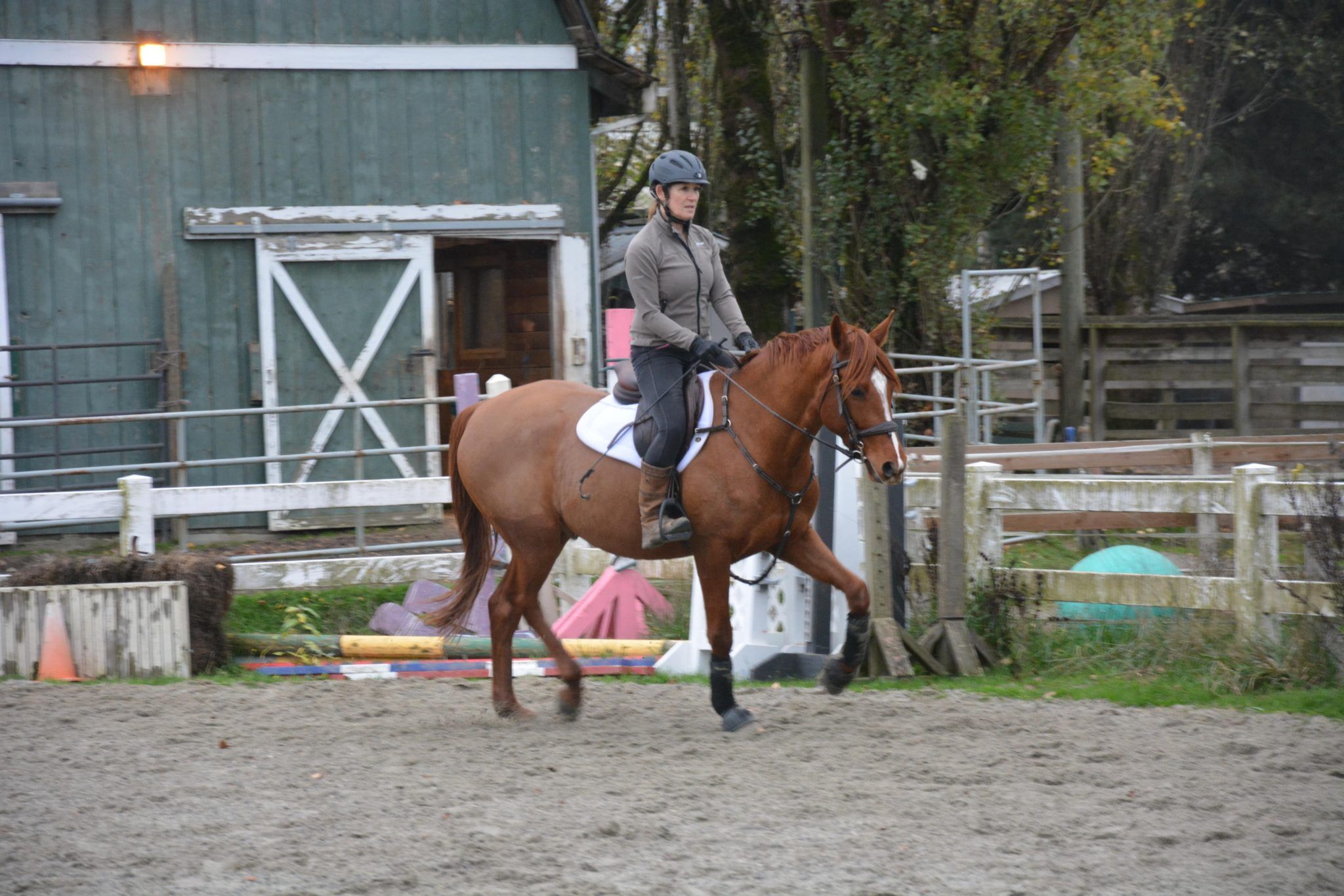 Horse Riding for Older Adults: Why It’s Never Too Late - Horse Rookie