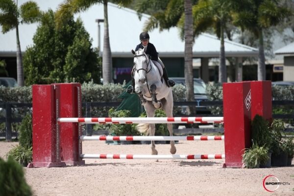 You’re Hired! How to Be a Star Working Student Equestrian - Horse Rookie