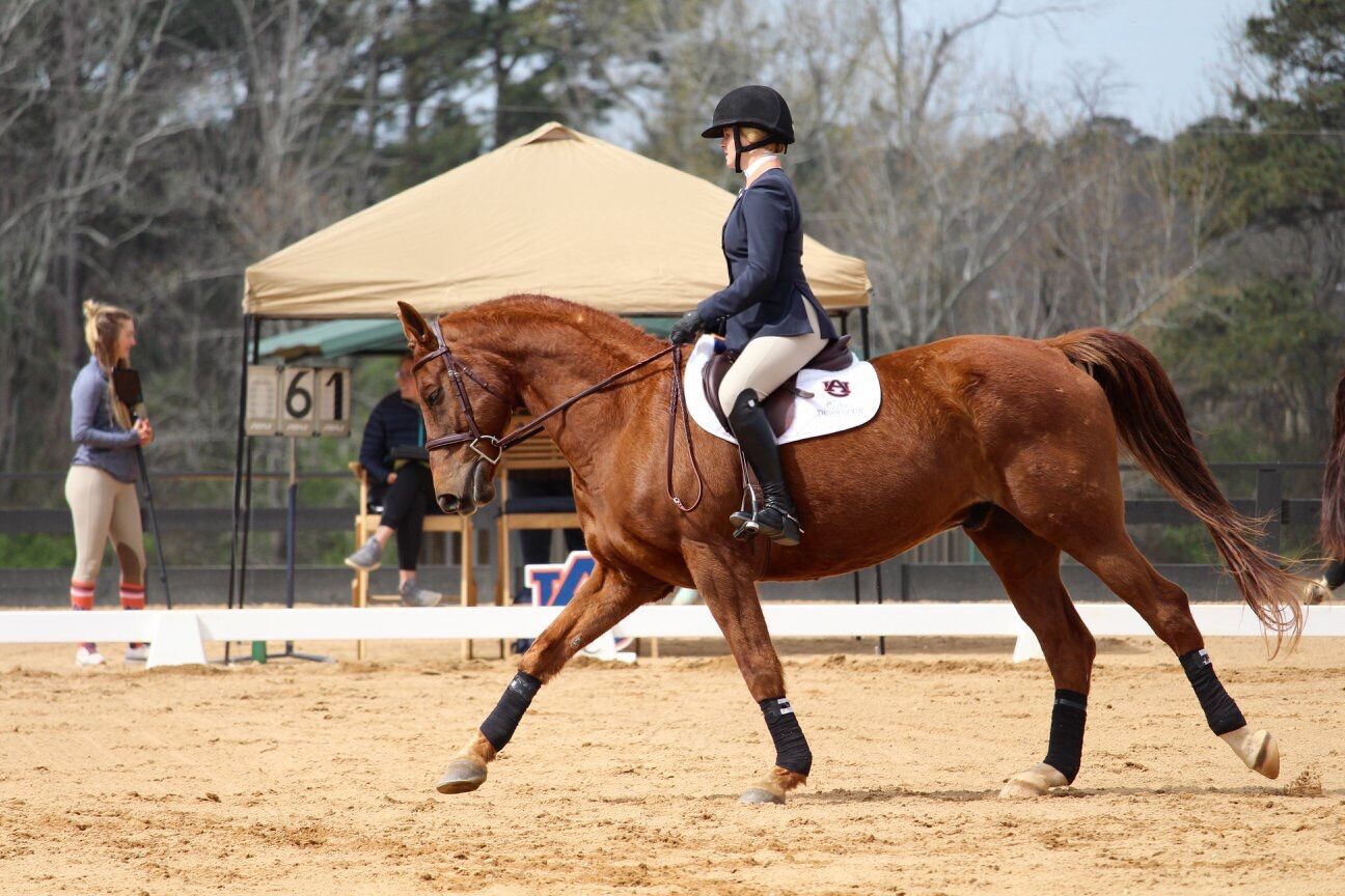 Horseback Riding in College: Tips from Caitlin Boyle - Horse Rookie