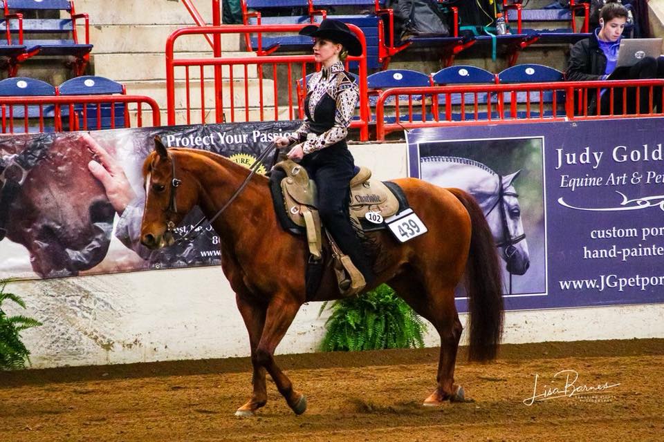 Horseback Riding in College: Tips from Charity Thacker - Horse Rookie
