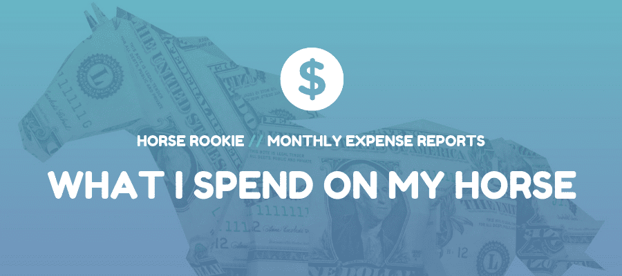 Cost of Owning a Horse: September 2021 Expense Report - Horse Rookie
