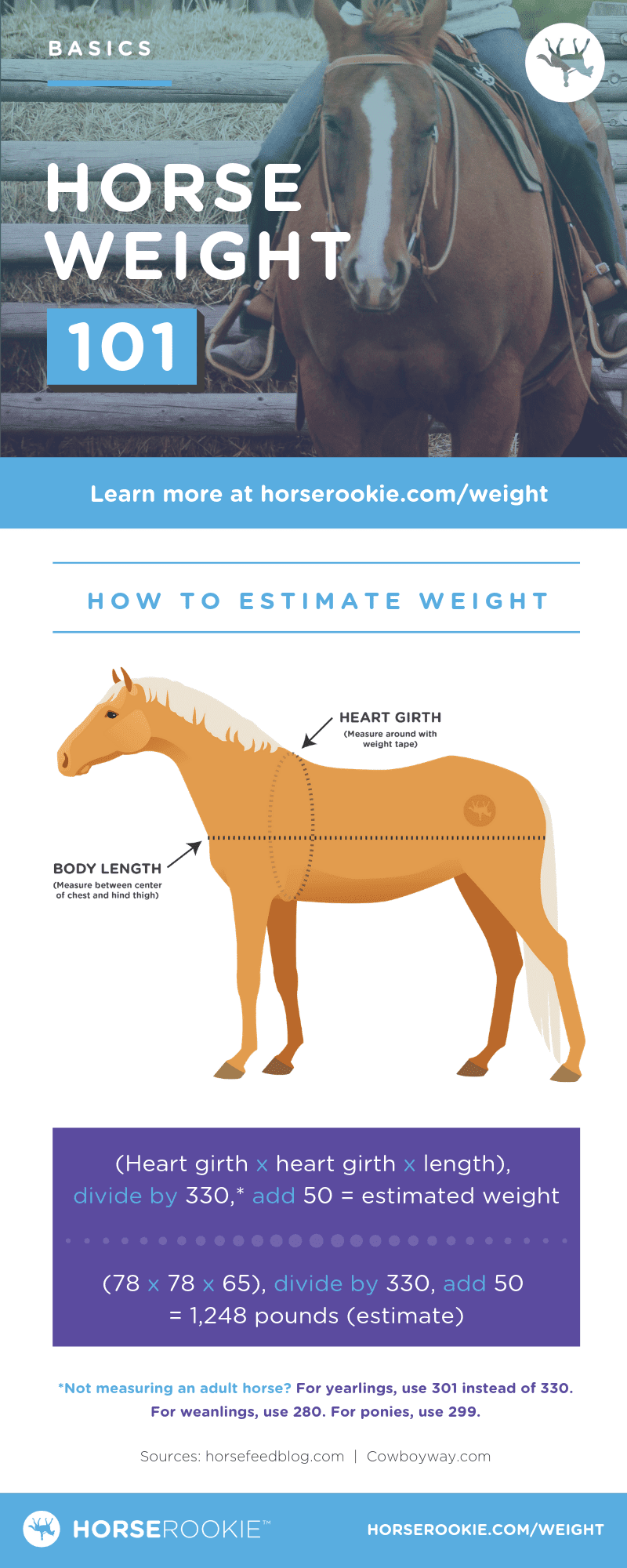 How much does a horse weigh? (Fun facts, calculator, FAQs)