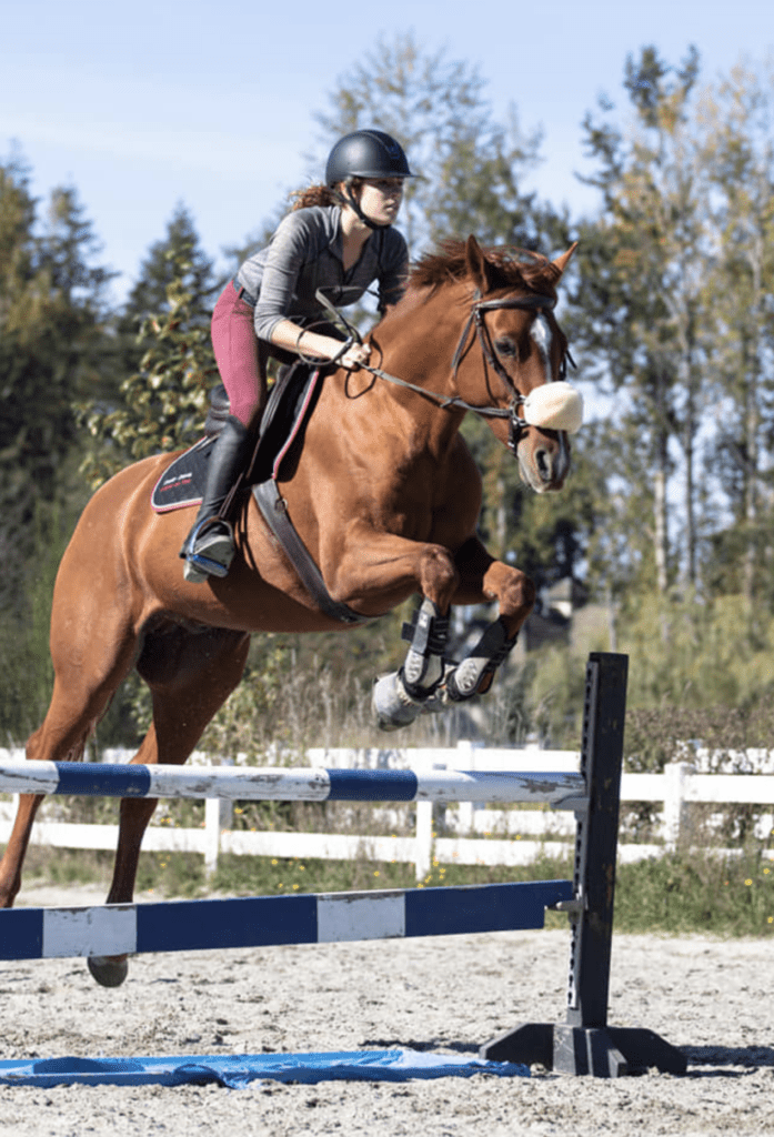 (Bit)Less is More: Bitless Horseback Riding for Beginners - Horse Rookie