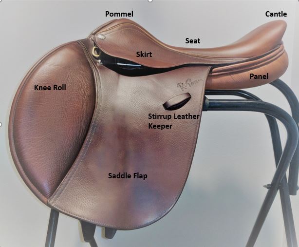 The 5 Best English Saddles for Hard-to-Fit Quarter Horses - Horse Rookie