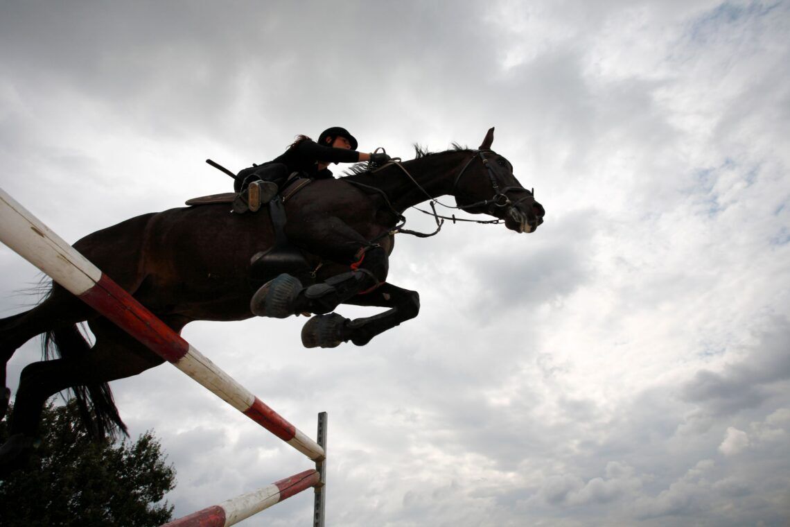 Horse Jumping Tips Beginners Can Put Into Practice Today - Horse Rookie