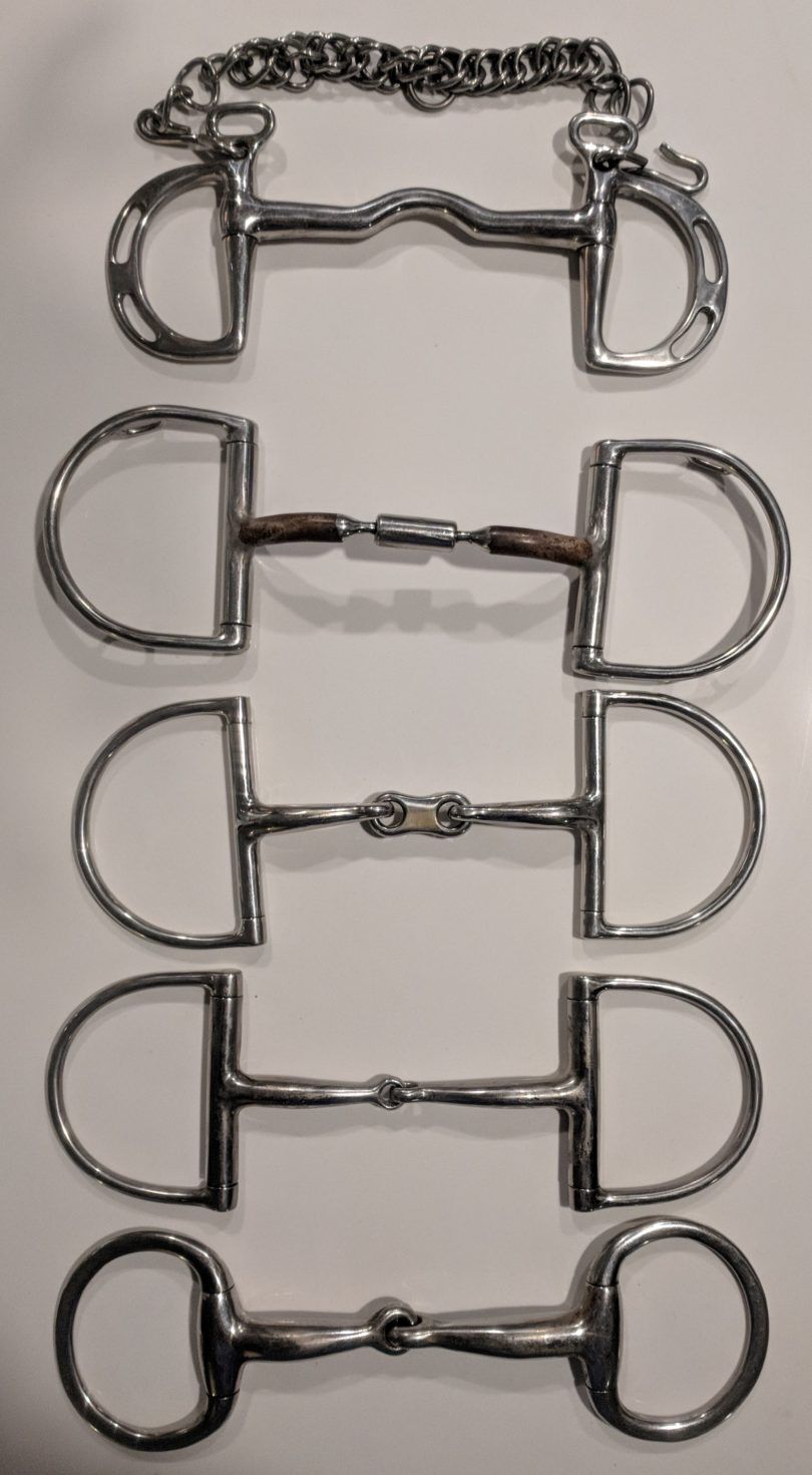Best Bits For Quarter Horses (A Helpful Illustrated Guide) - Horse Rookie