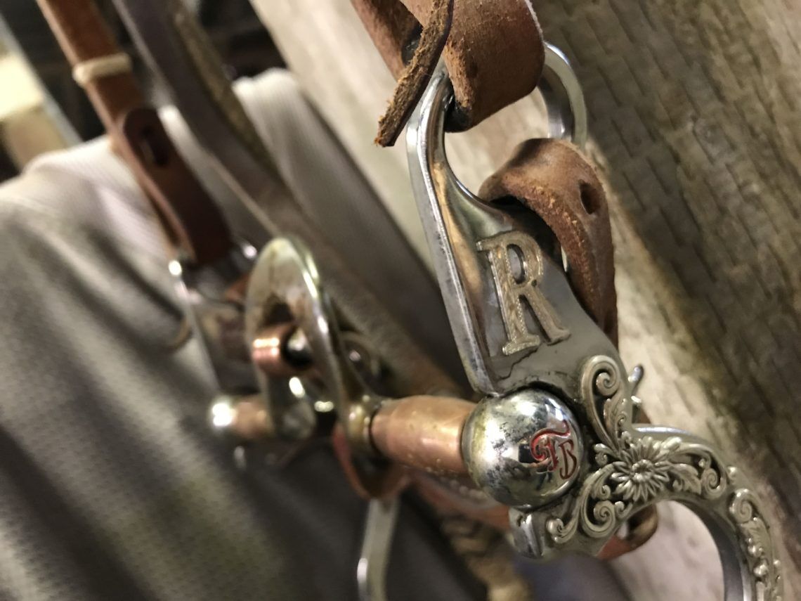 Best Bits For Quarter Horses (A Helpful Illustrated Guide) - Horse Rookie