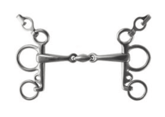 16 Common Types of Horse Bits (A Helpful Illustrated Guide) - Horse Rookie