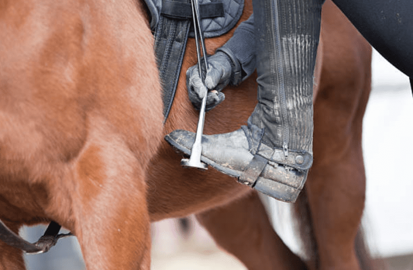 How to ride a horse for beginners (basics, safety, mistakes) - Horse Rookie