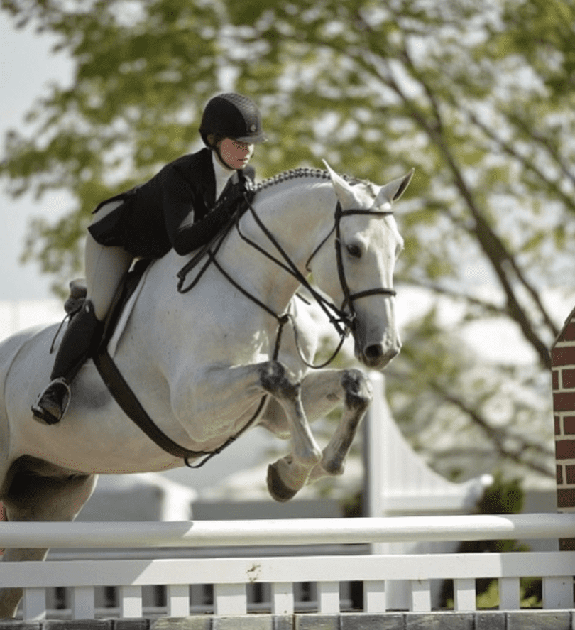 You’re Hired! How to Be a Star Working Student Equestrian - Horse Rookie