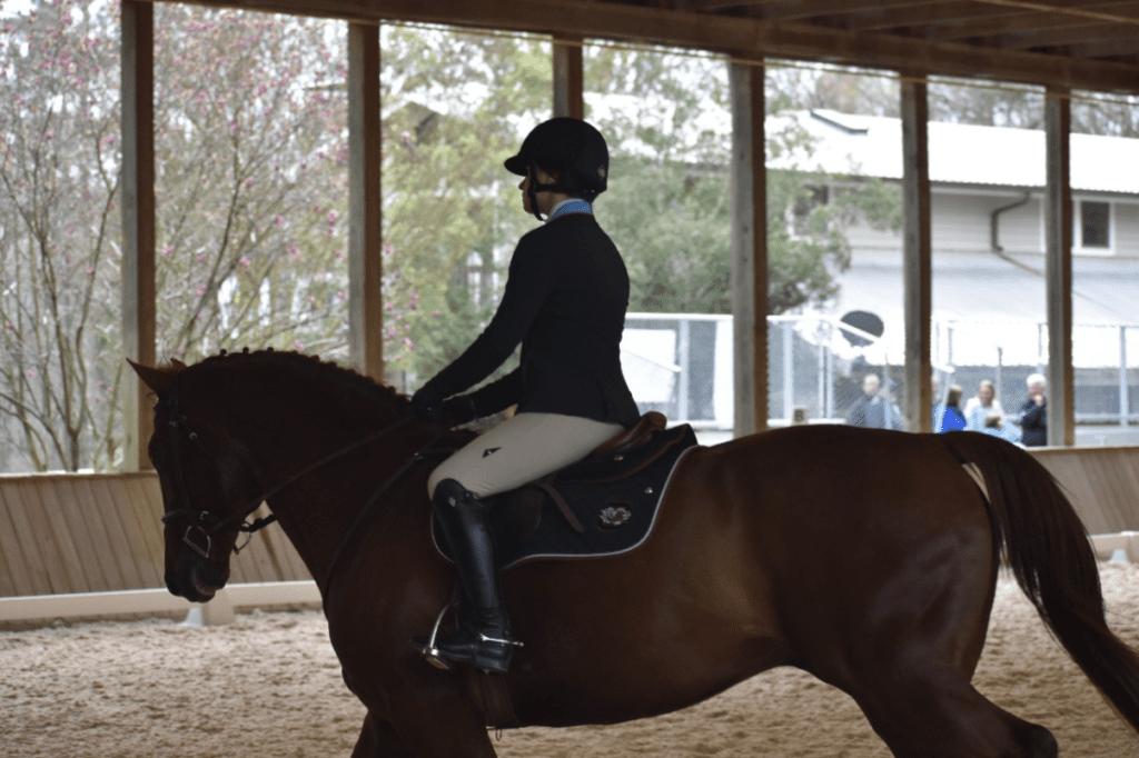 You’re Hired! How to Be a Star Working Student Equestrian - Horse Rookie
