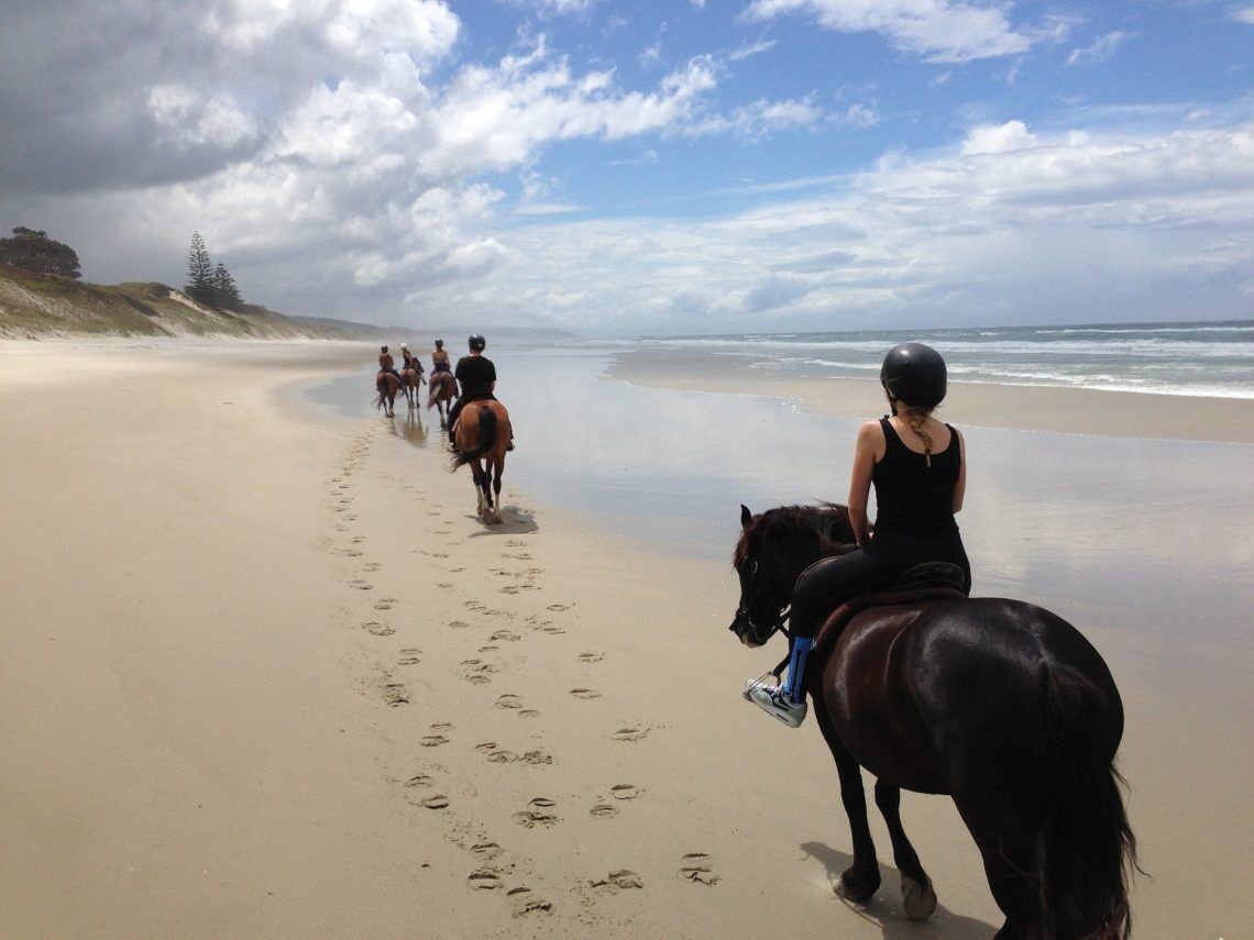 8 Best Horse Riding Helmets for Hot Weather Relief - Horse Rookie