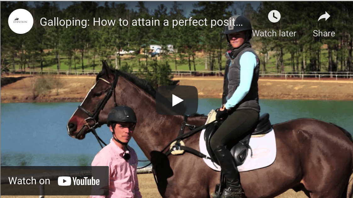 How to ride a horse for beginners (basics, safety, mistakes) - Horse Rookie