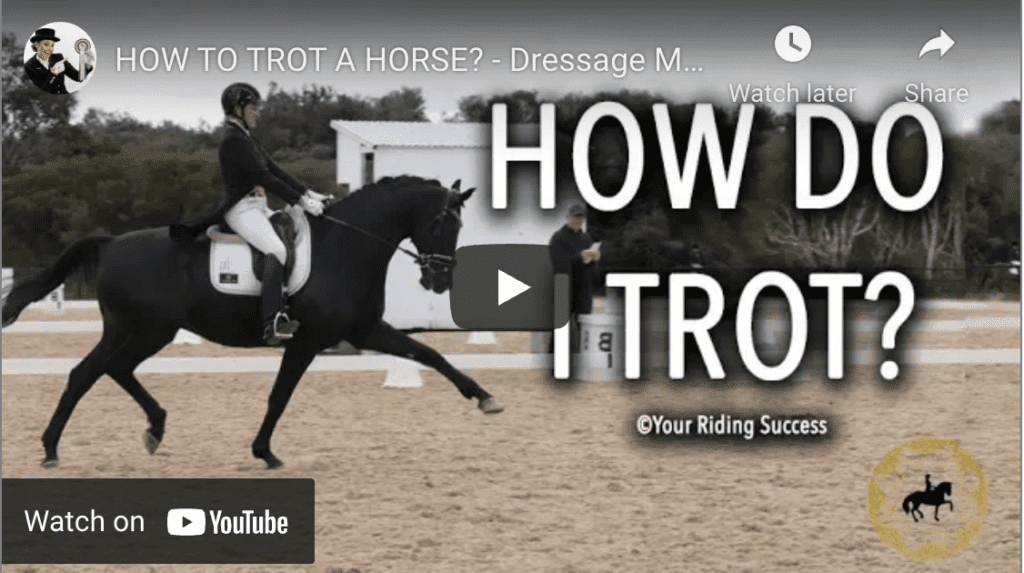 How to ride a horse for beginners (basics, safety, mistakes) - Horse Rookie
