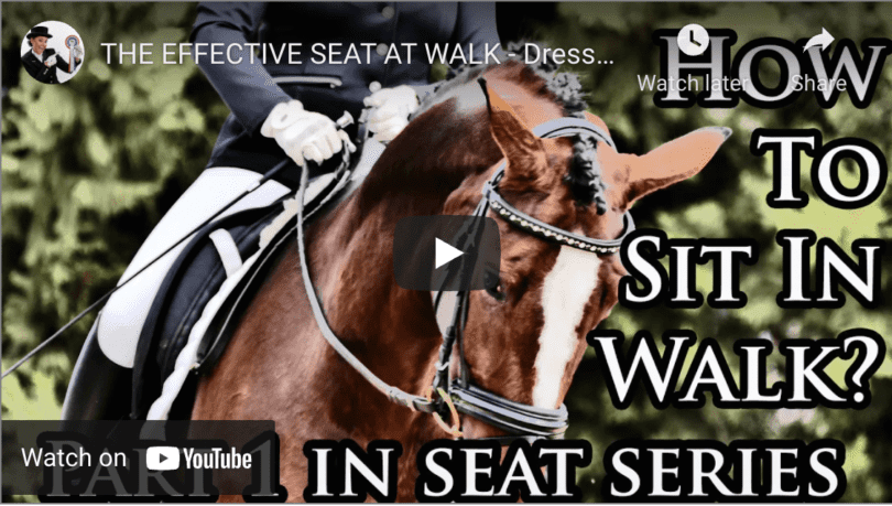 How to ride a horse for beginners (basics, safety, mistakes) - Horse Rookie