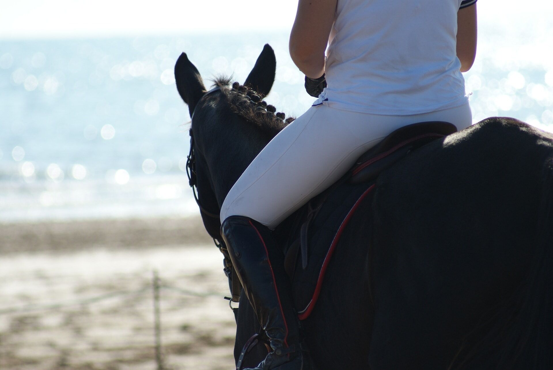9 Best Horse Riding Breeches for Hot Weather Relief - Horse Rookie