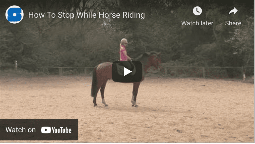 How to ride a horse for beginners (basics, safety, mistakes) - Horse Rookie