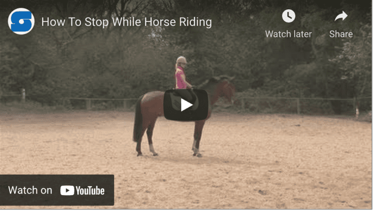 How to ride a horse for beginners (basics, safety, mistakes) - Horse Rookie