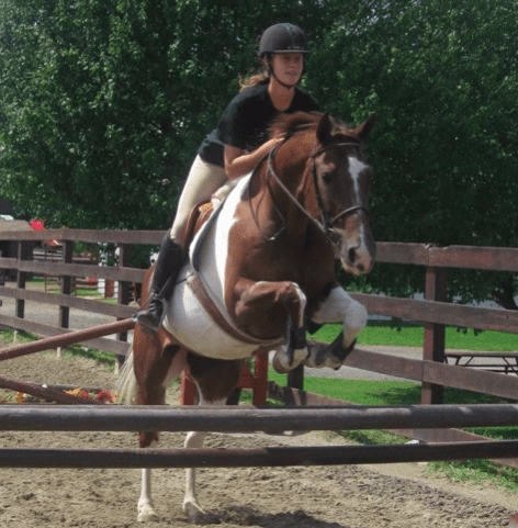 Horse Jumping Tips Beginners Can Put Into Practice Today - Horse Rookie