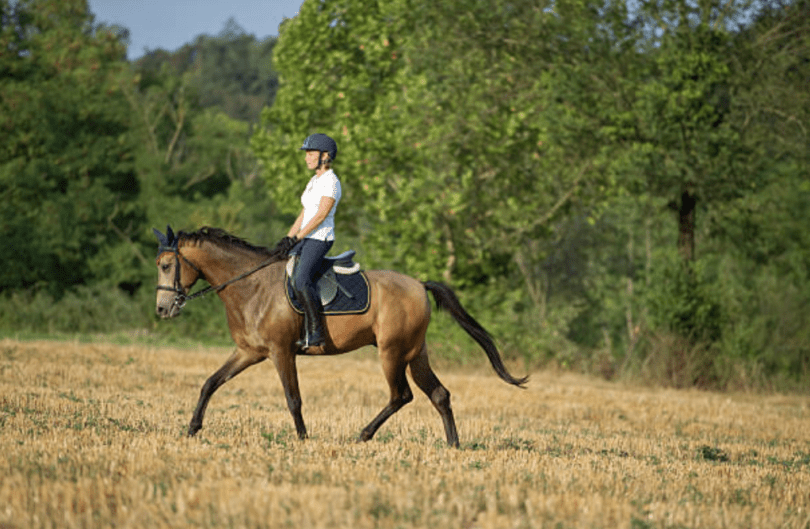 Summer Horseback Riding: What to Wear & What NOT to Wear - Horse Rookie