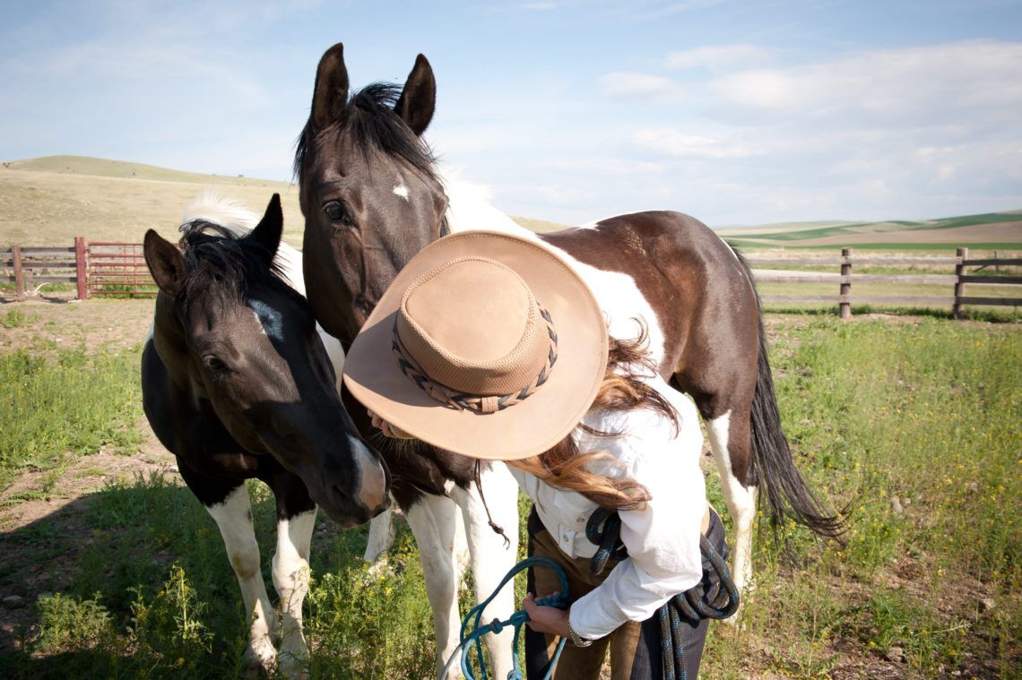 Ranch Roundup: 10 Best Horseback Riding Vacations in Montana - Horse Rookie