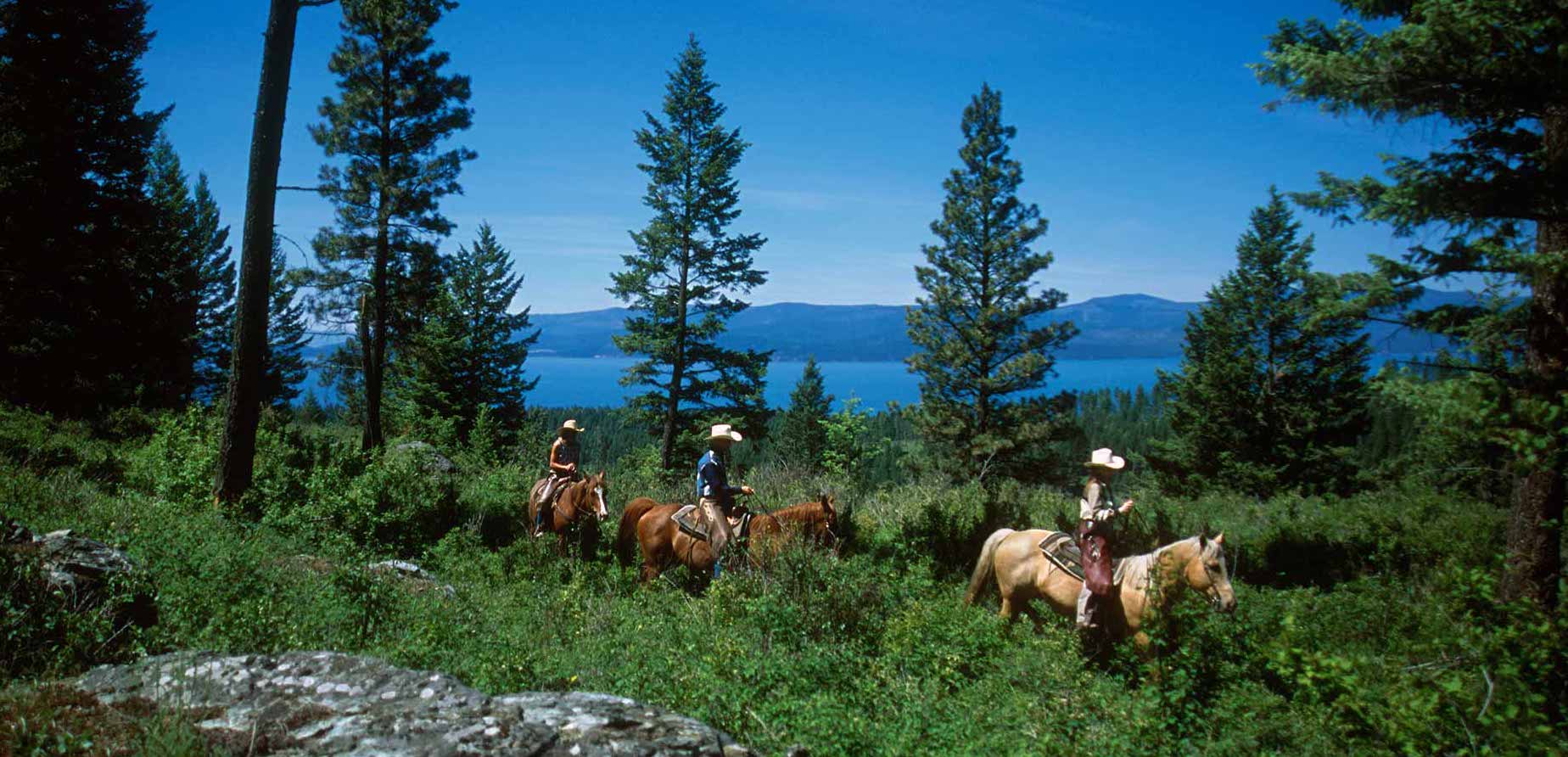 Ranch Roundup: 10 Best Horseback Riding Vacations in Montana - Horse Rookie