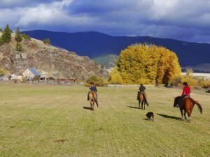 Ranch Roundup: 10 Best Horseback Riding Vacations in Montana - Horse Rookie