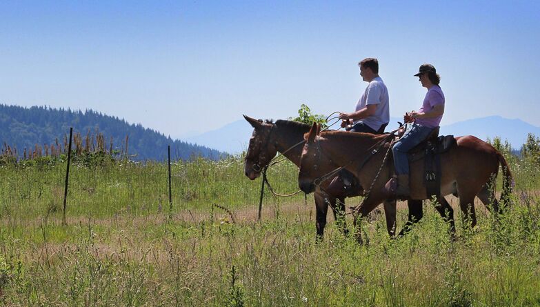 Ranch Roundup: 10 Best Horseback Riding Vacations in Montana - Horse Rookie