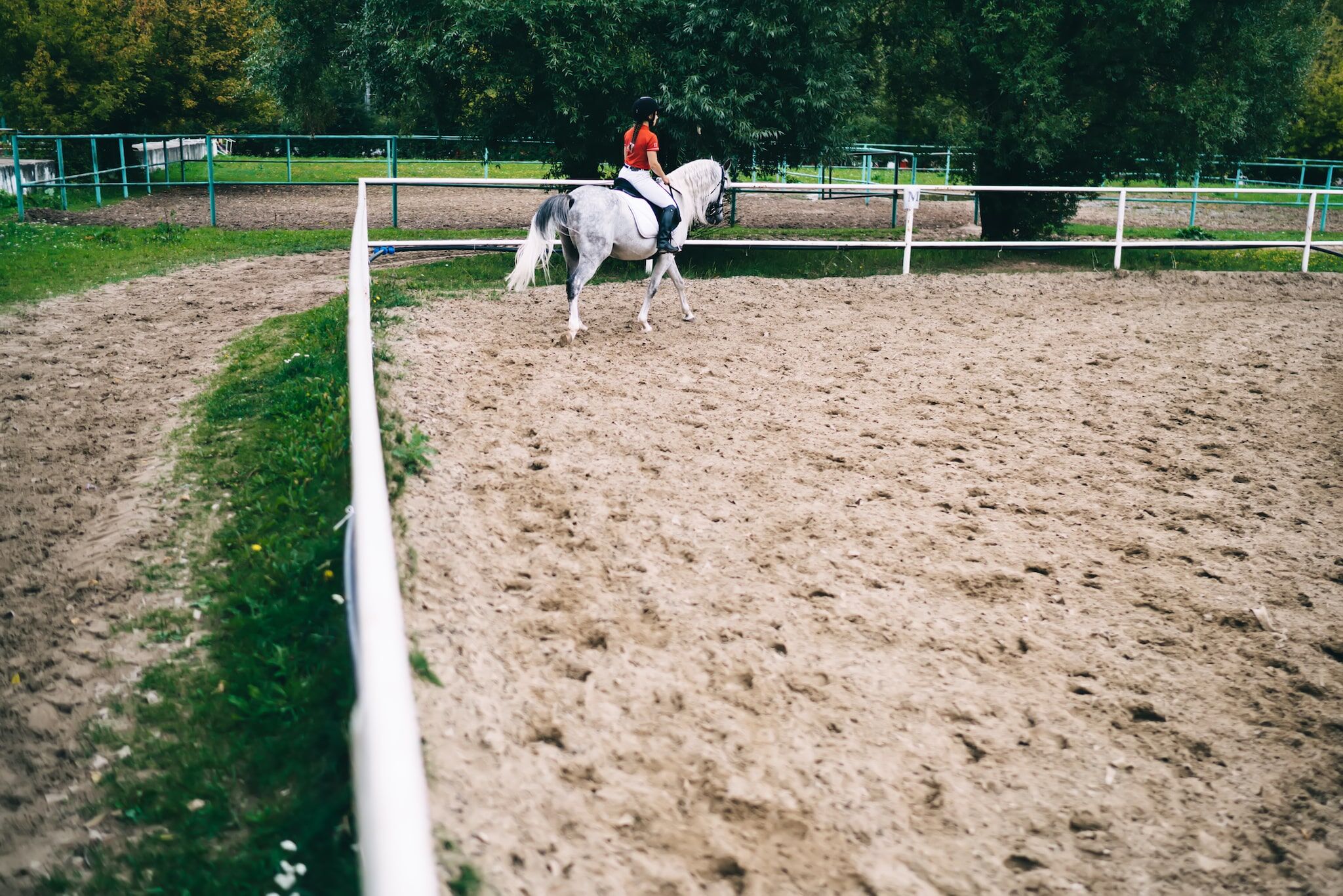 Getting back in the sand arena - Horse Rookie