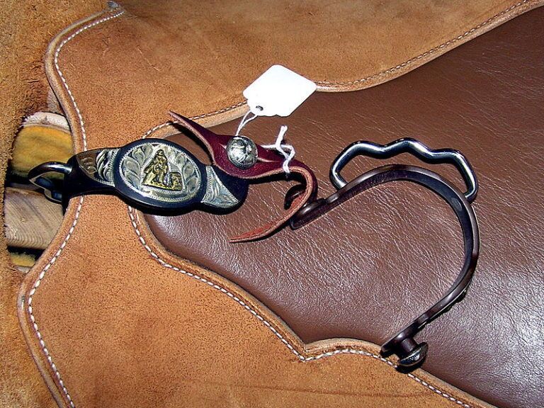 7 Best Spurs for Beginners (And Their Horses) - Horse Rookie