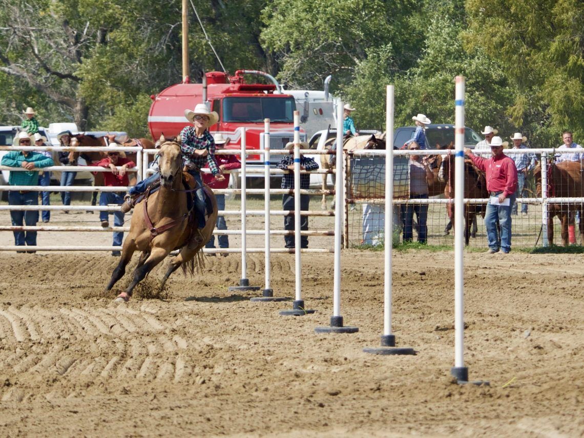 20 Different Types of Western Riding (With Video Examples) - Horse Rookie