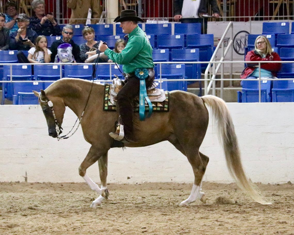 20 Different Types of Western Riding (With Video Examples) - Horse Rookie