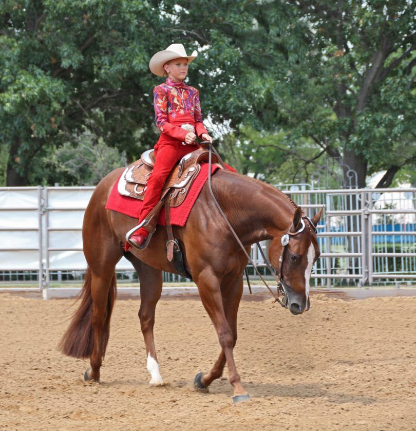 20 Different Types of Western Riding (With Video Examples) - Horse Rookie