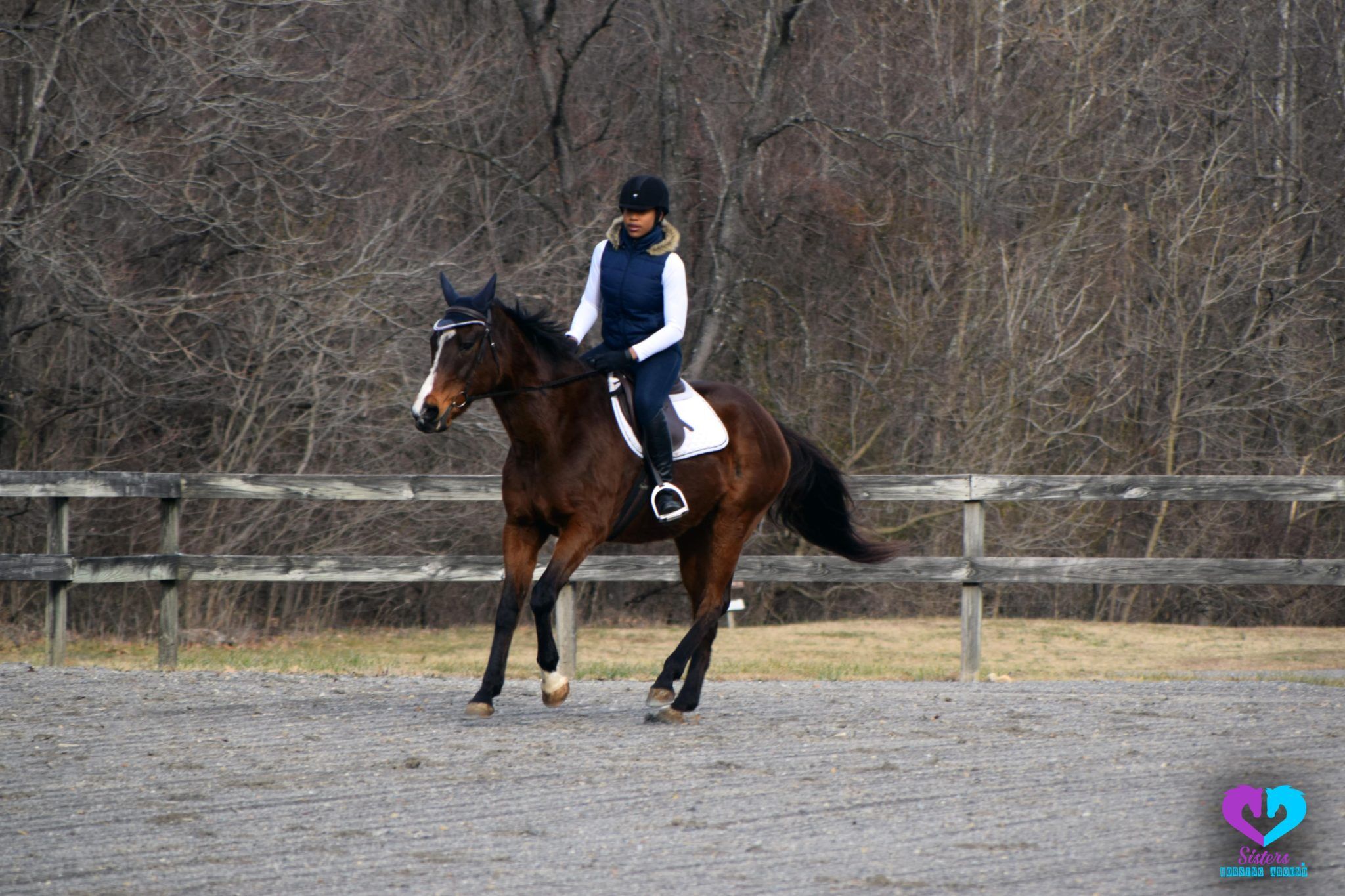 What are some ways to gain confidence riding horses? - Horse Rookie